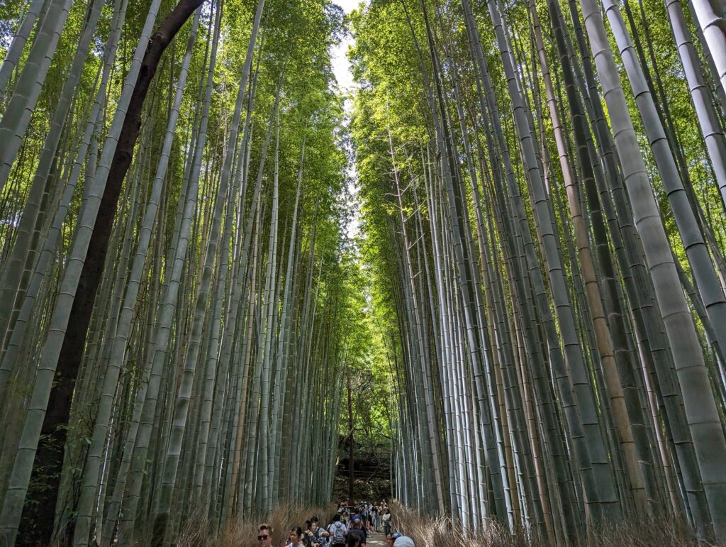Japan Masterpiece | Curating the beauty and masterpieces of Japan.